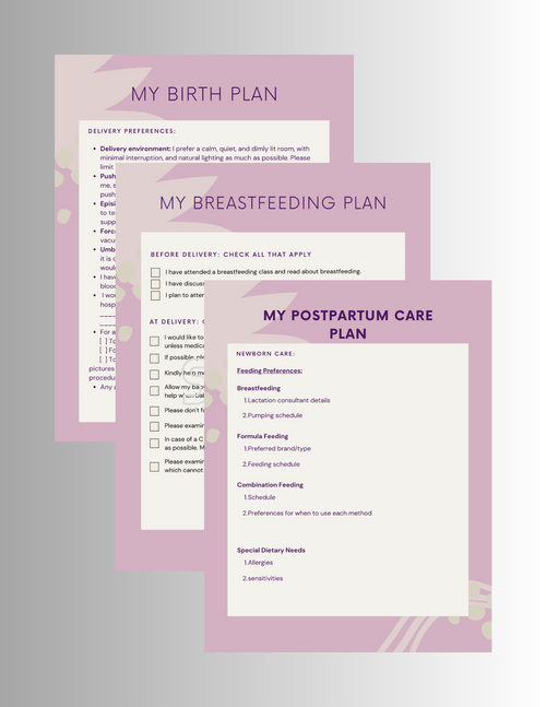 Editable Sample Birth, Breastfeeding & Postpartum Care Plan Templates ...