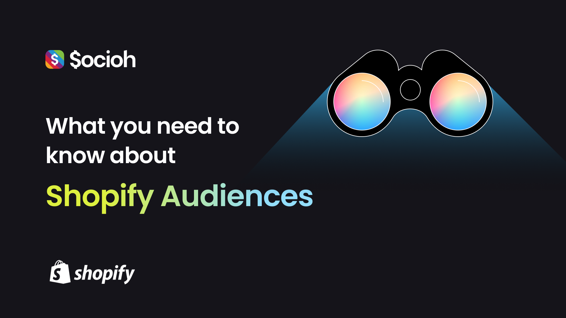 How do Shopify Audiences work and should you be using them?