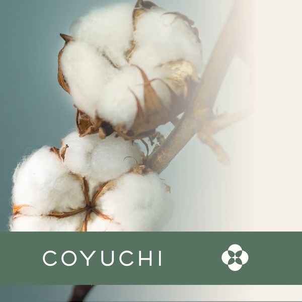 Ads Library | COYUCHI | COYUCHI Ad 10