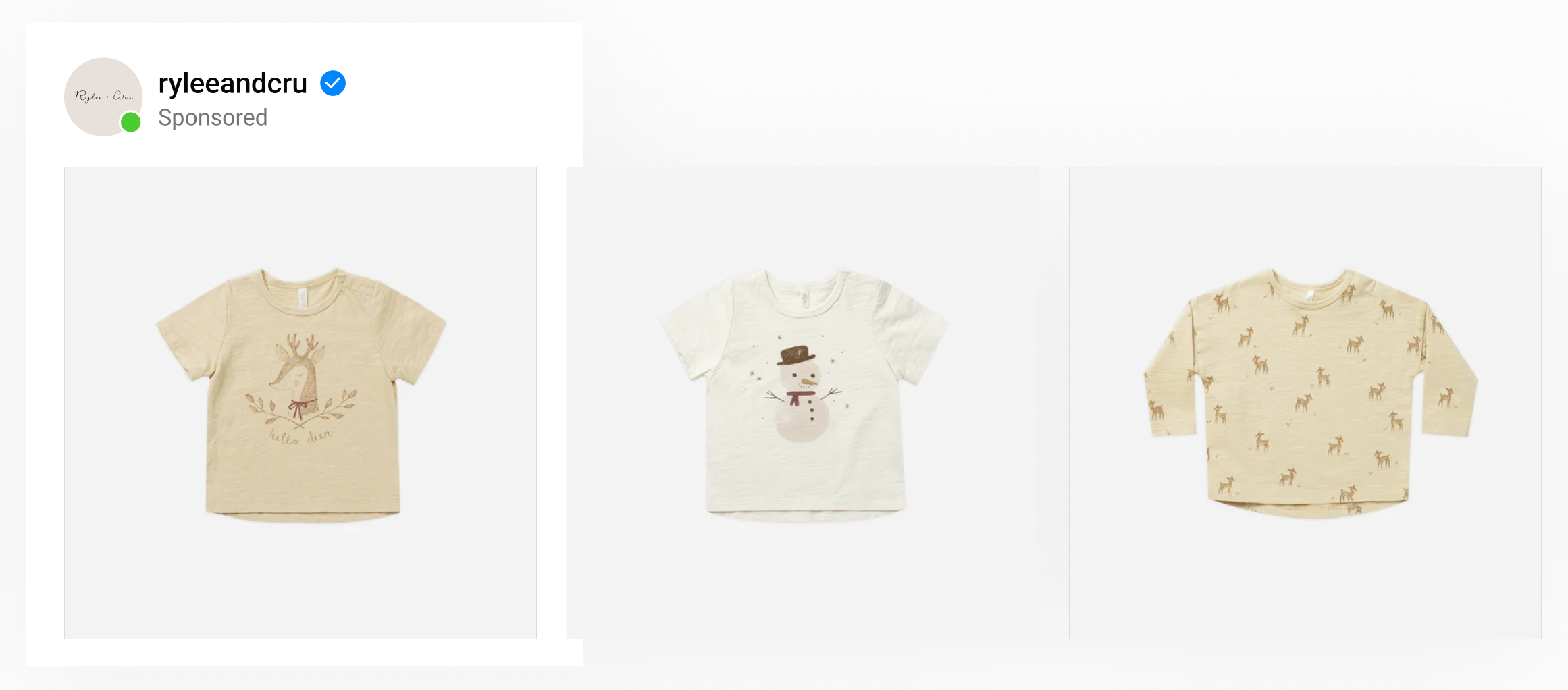 Examples of Meta catalog ads with lifestyle images