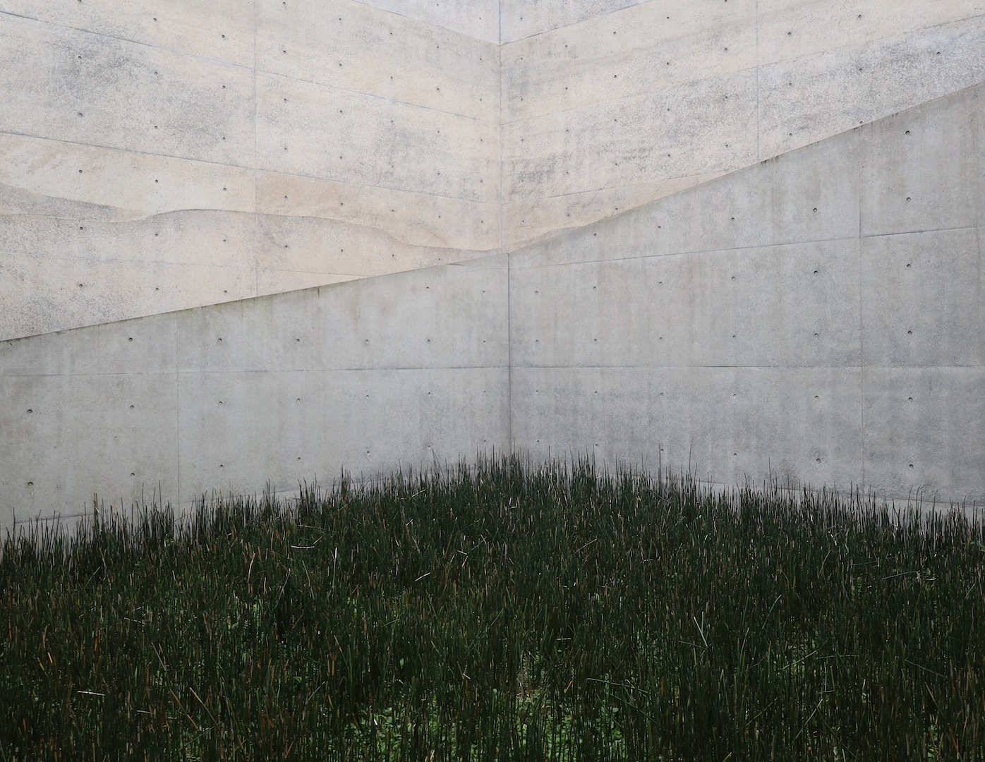 Nature by Design: Towards a Sustainable Architectural Practice