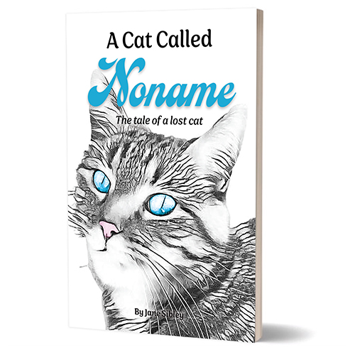 A Cat Called No Name - DolmanScott