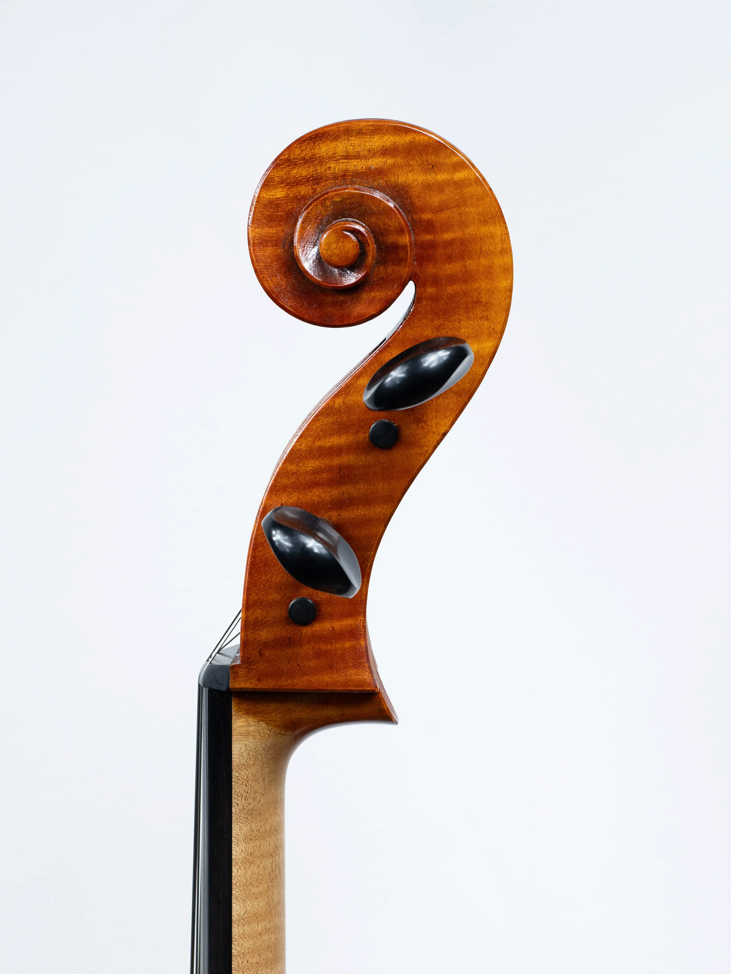 Cello by Guido Giardino, 2023 - MyLuthier