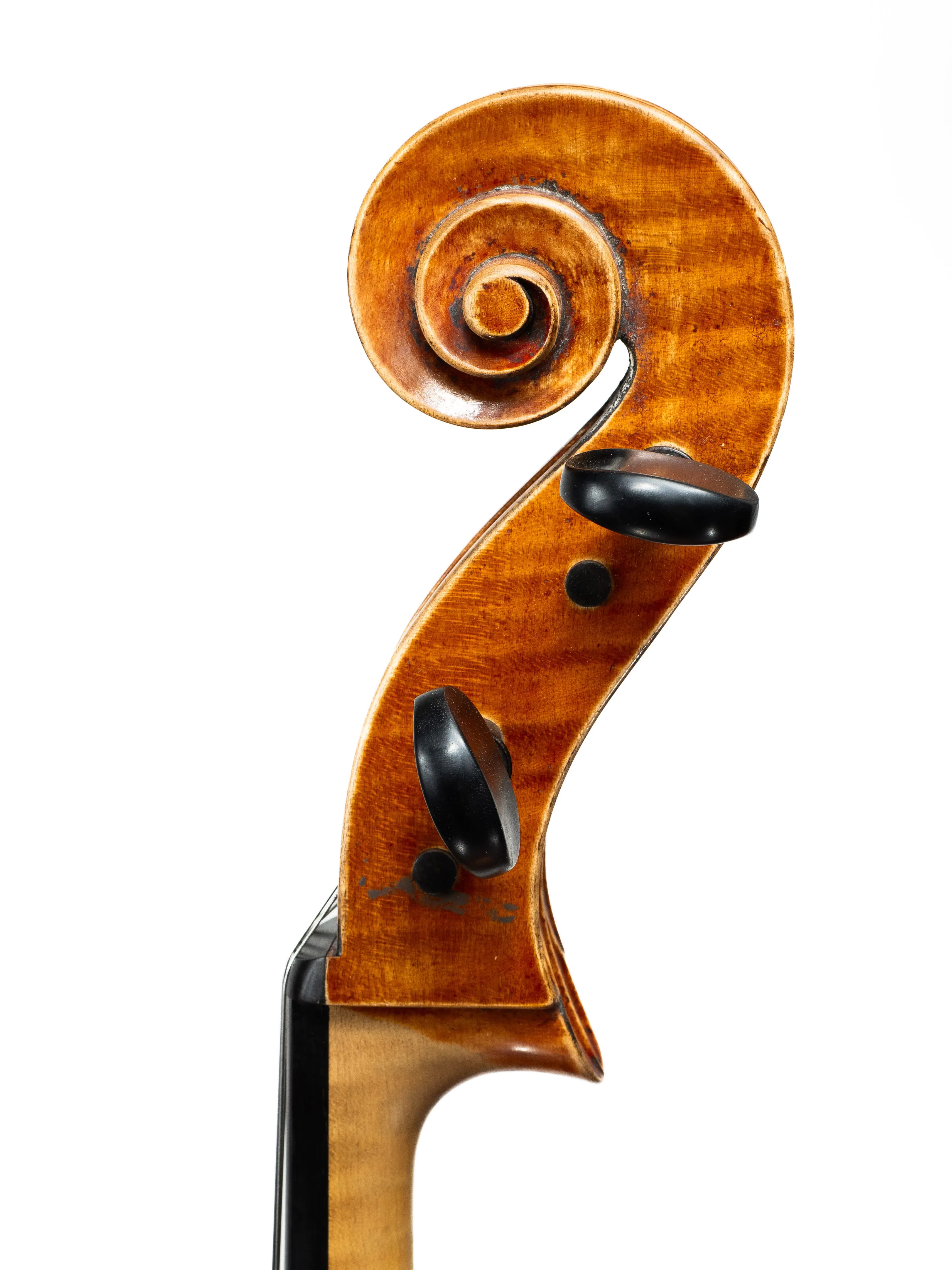 Cello by Wolfgang Schiele, 2019 - MyLuthier
