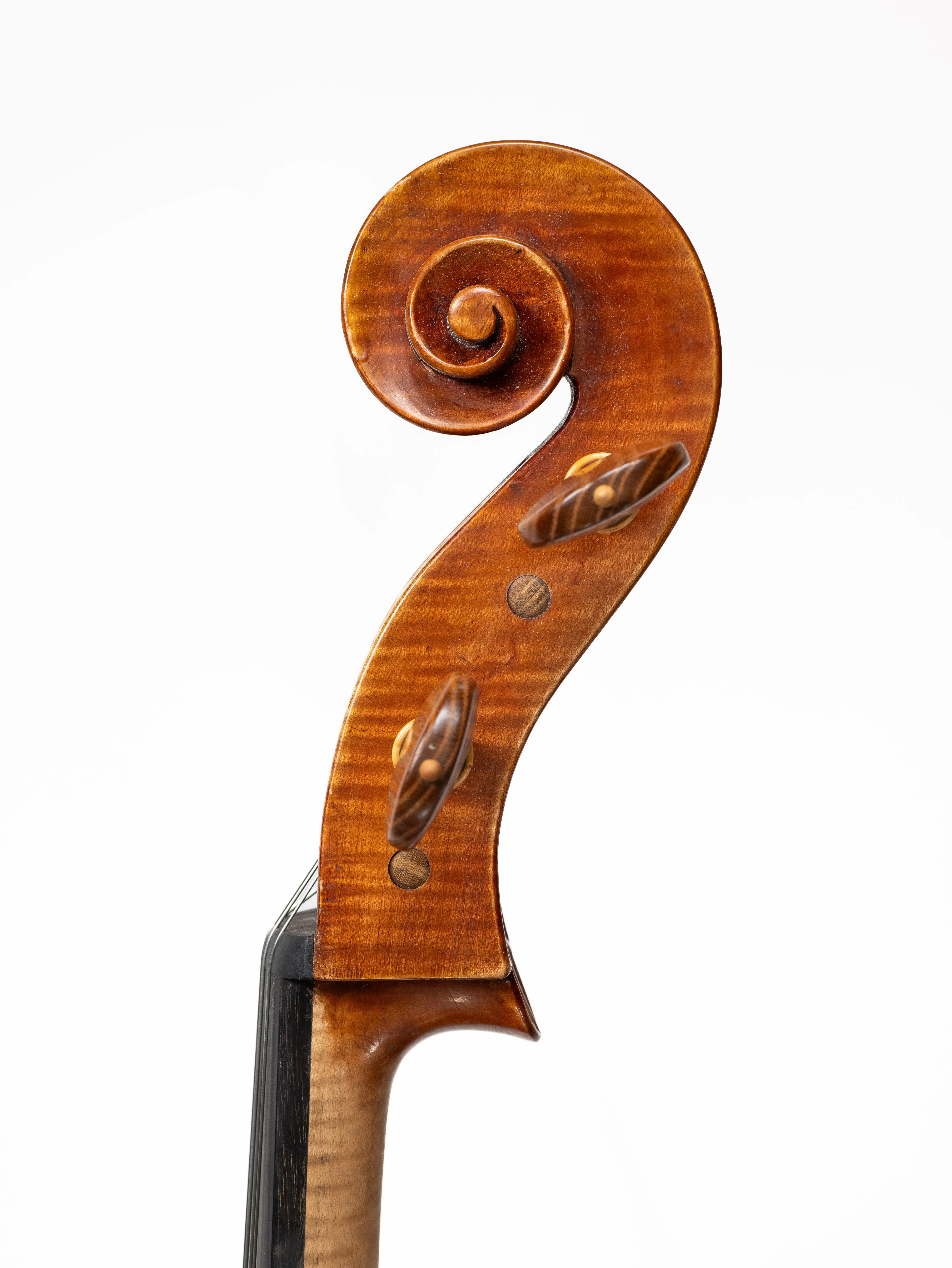 Cello by Stefano Marzi, 2023 - MyLuthier