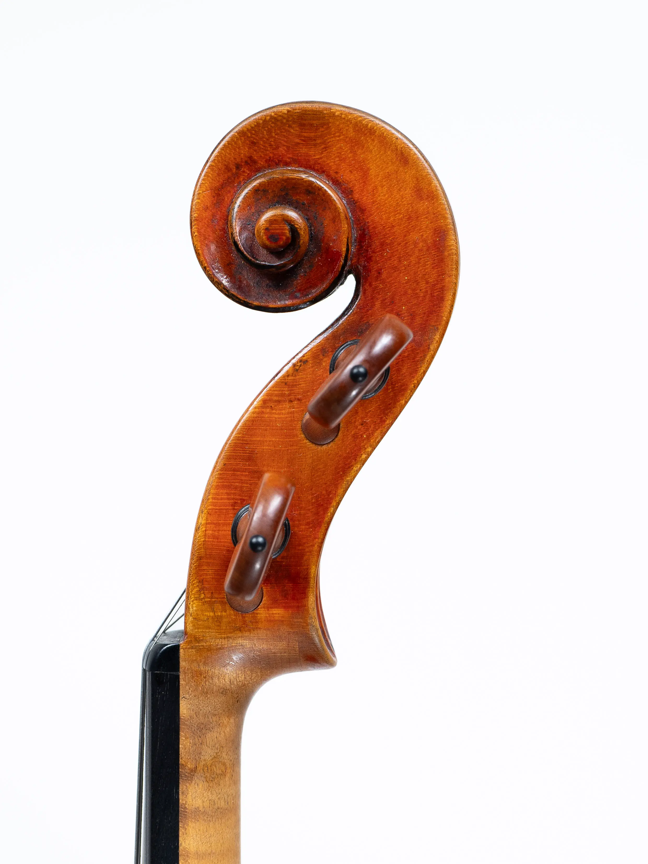 Violin by Christopher Maynard, 2024 - MyLuthier