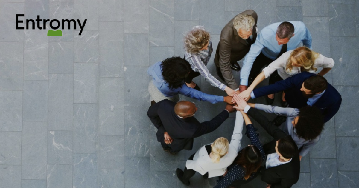 Organizational Assessment Platform - Entromy