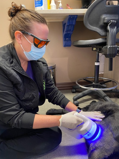 Services | V.A.D.E.R. Clinic