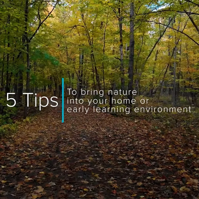 Learning in nature - 5 tips to get you started - Storypark