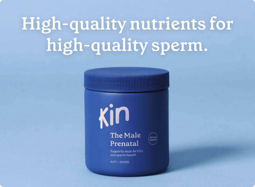 The Male Prenatal Vitamin | Kin Fertility