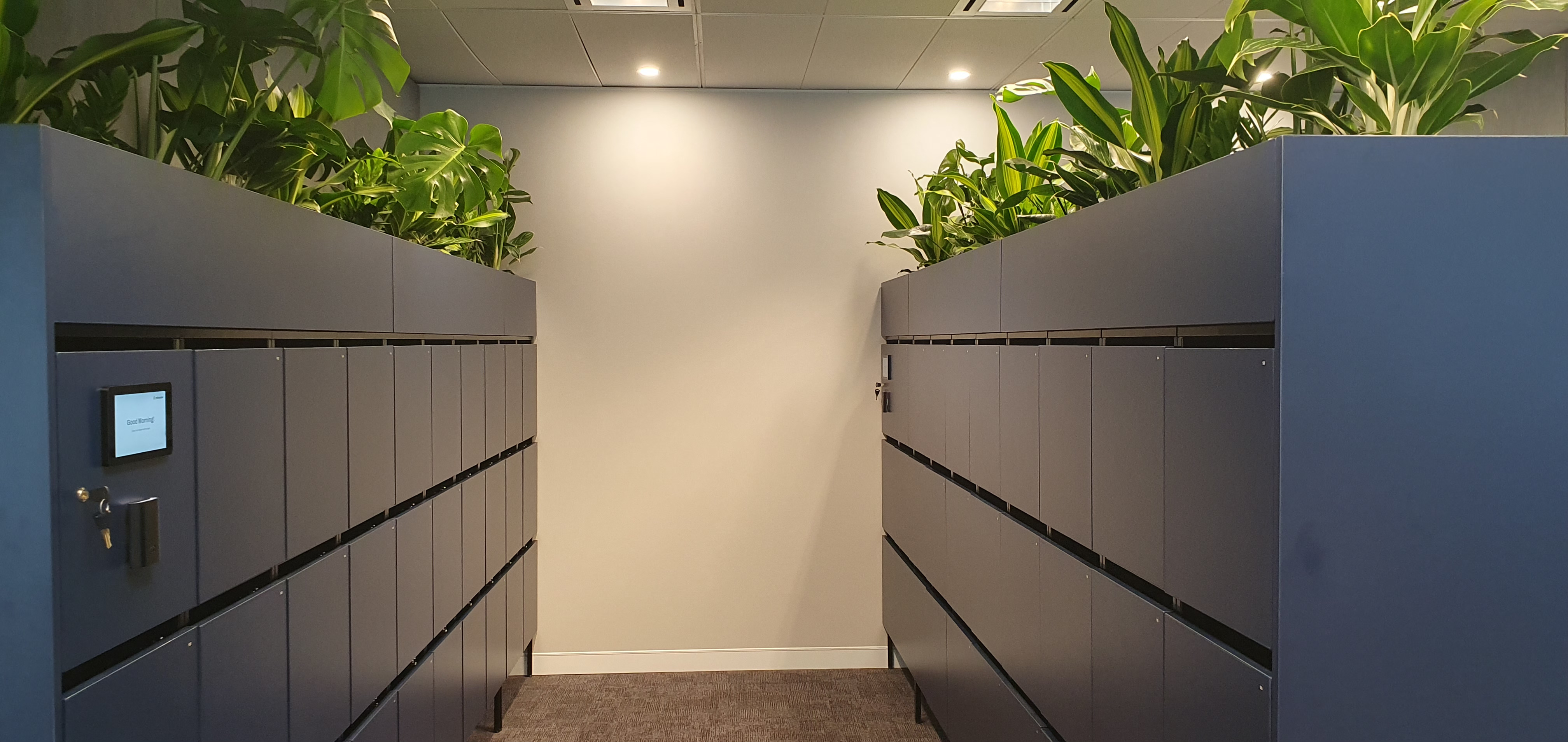 Everything your employee lockers need in 2022