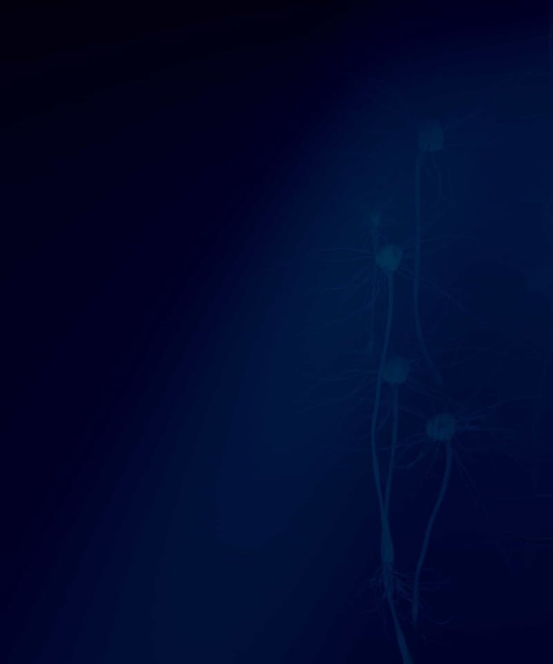LYSOVETA | LPC bound EPA & DHA by Aker BioMarine