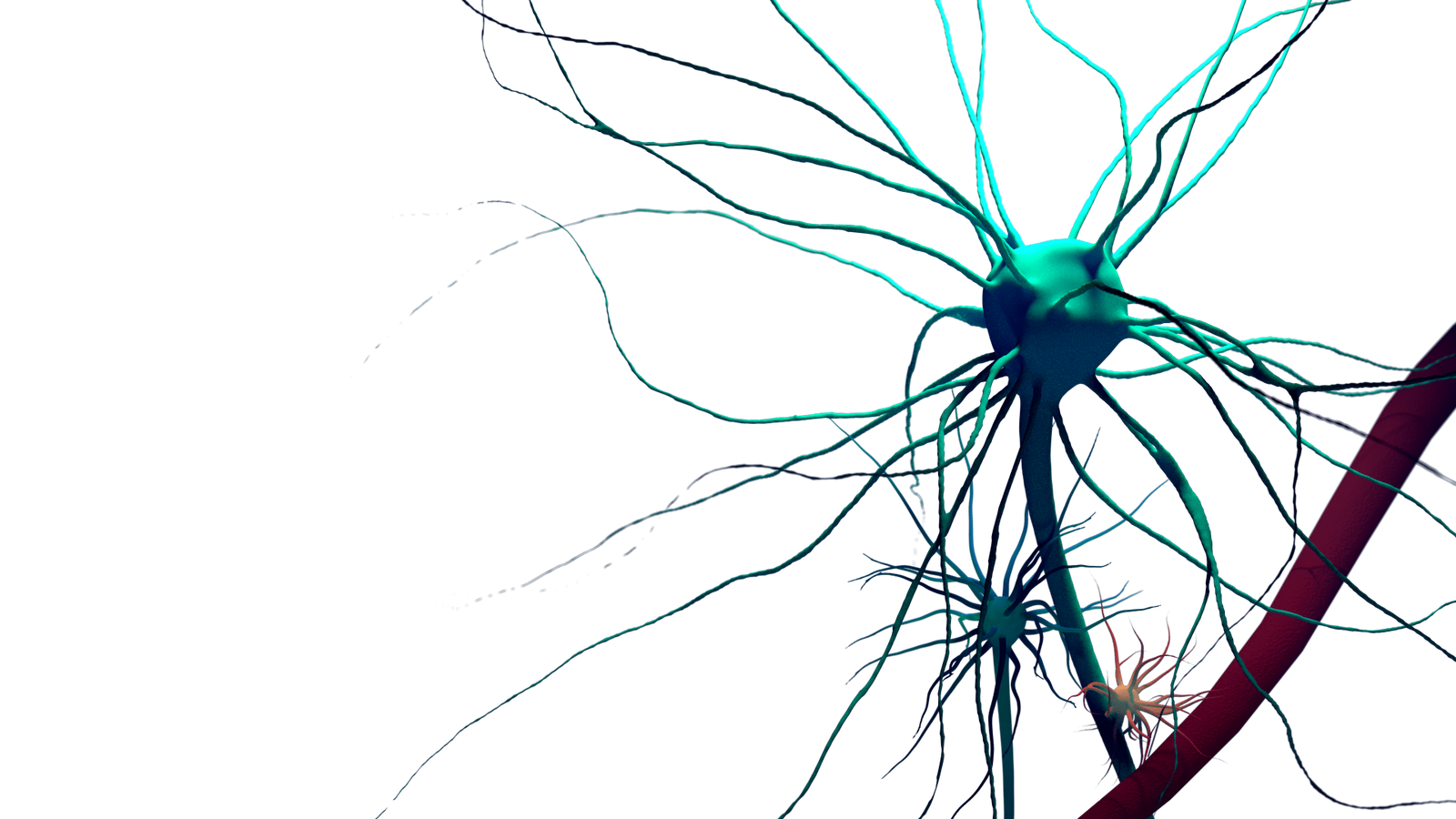 LYSOVETA | LPC bound EPA & DHA by Aker BioMarine