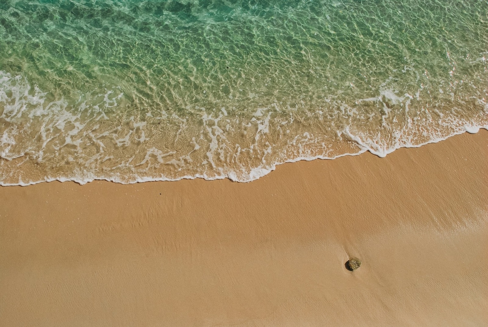 NZ Suppliers | Fresha Export