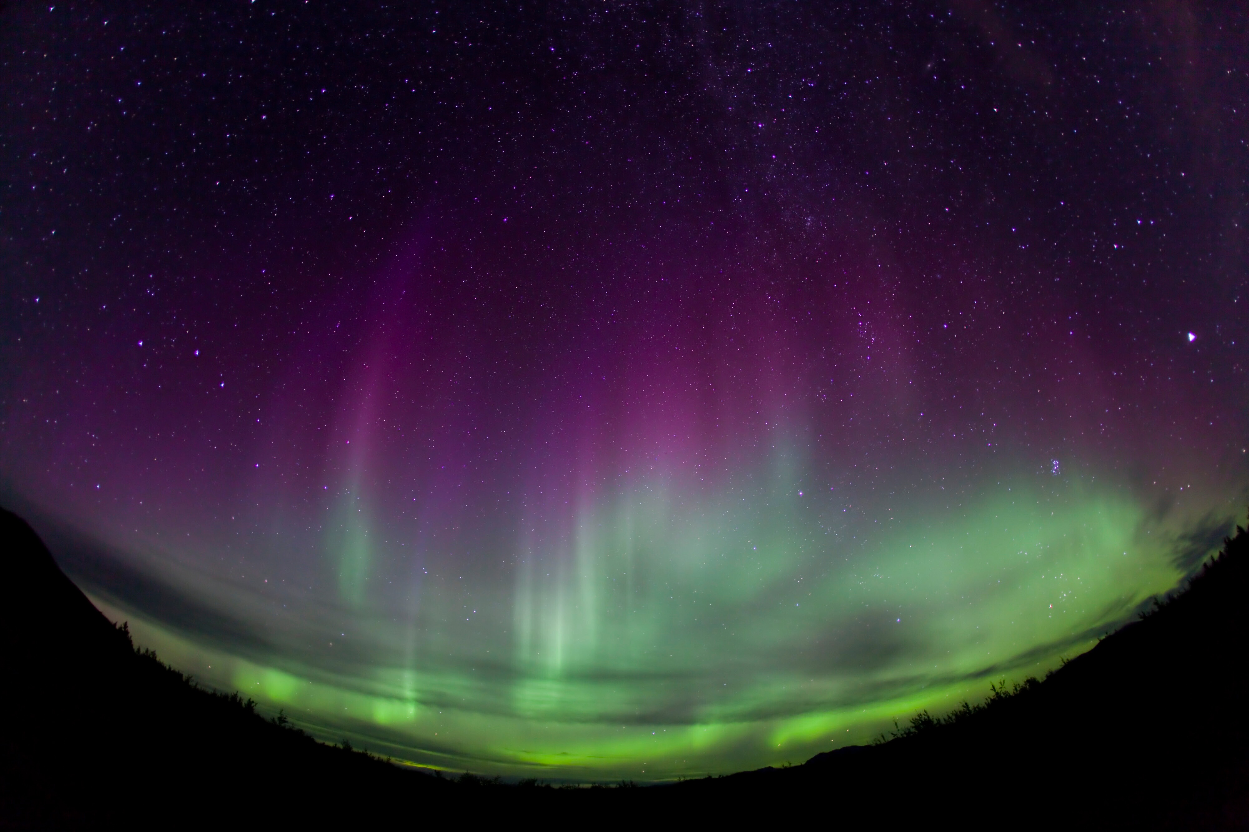 Yukon Experience: Aurora Tours