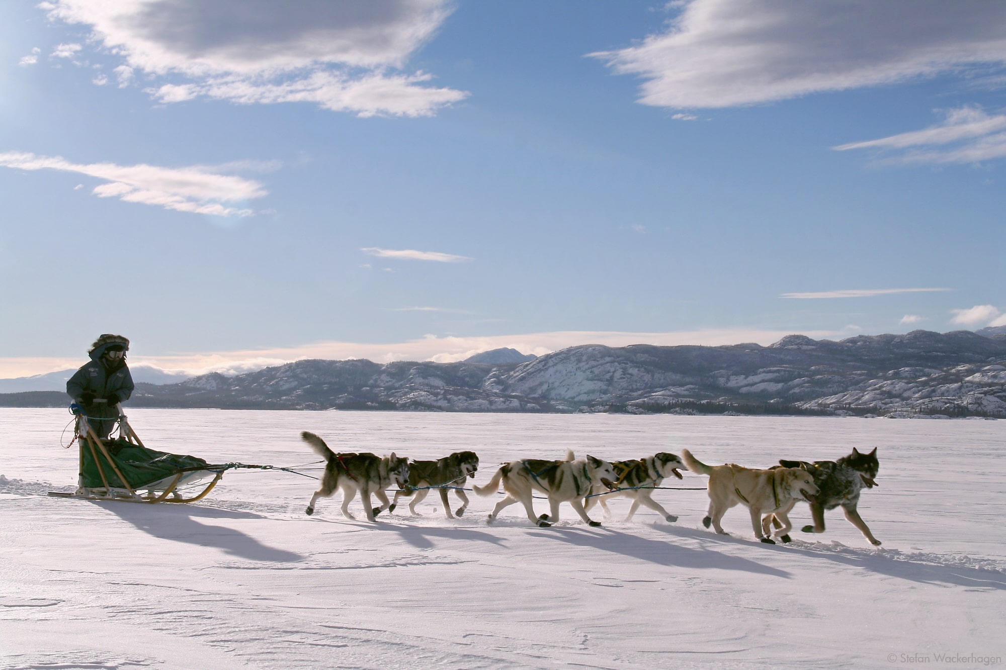 Yukon Experience: Dog Sledding (self-drive, tandem)