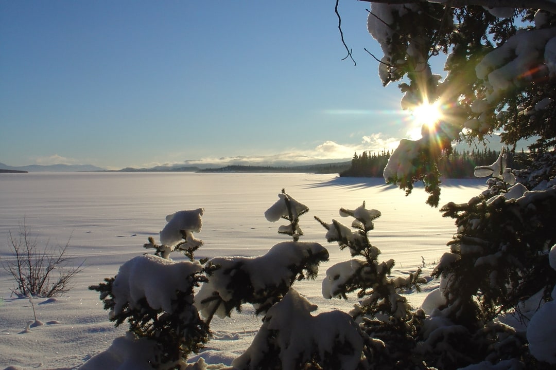 Yukon Experience: Aurora Borealis From A Cozy Wilderness Cabin