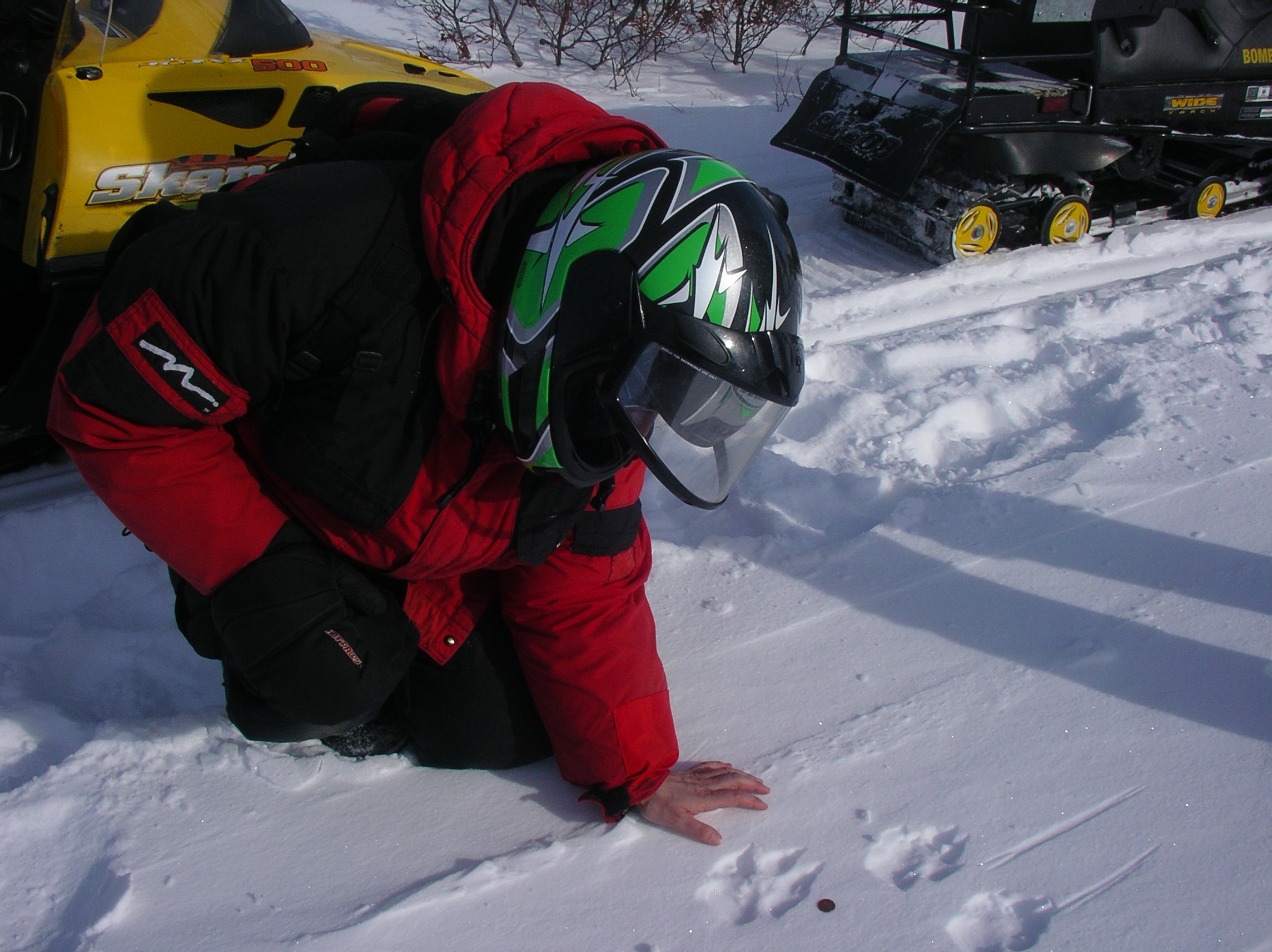 Yukon Experience: Snowmobile Driving