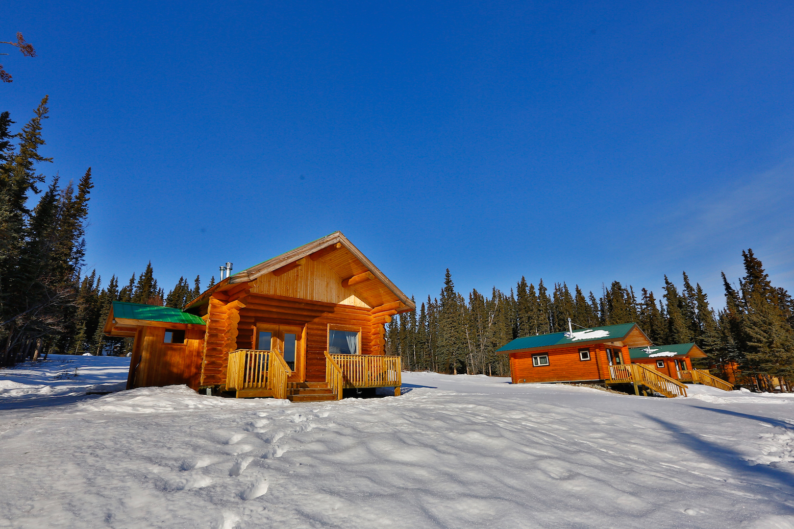 Yukon Experience: Aurora Tours