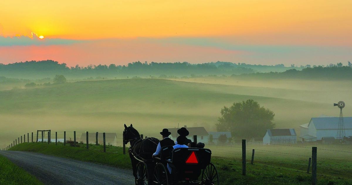 The Legacy of Amish Craftsmanship: 4 Qualities That Set It Apart ...