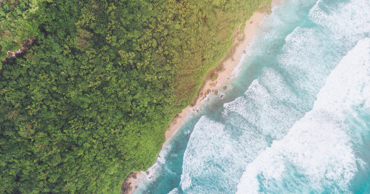 Savaya Bali Official Website - Savaya.com