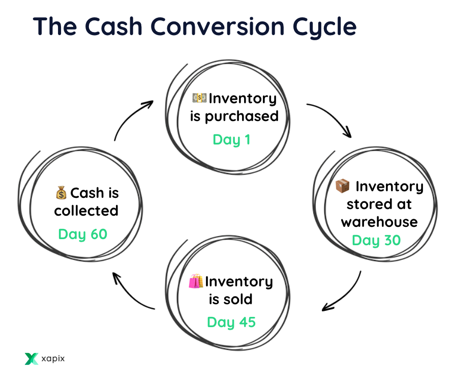 Mastering the cash conversion cycle to accelerate your growth | Xapix Blog