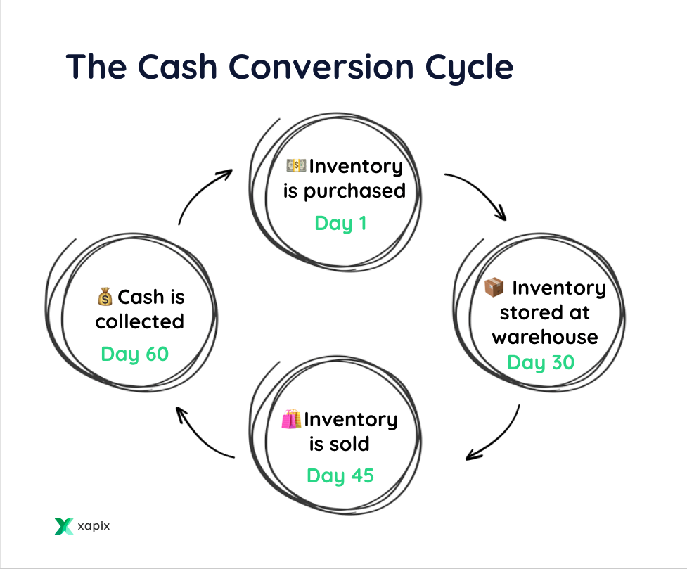 Mastering the cash conversion cycle to accelerate your growth | Xapix Blog