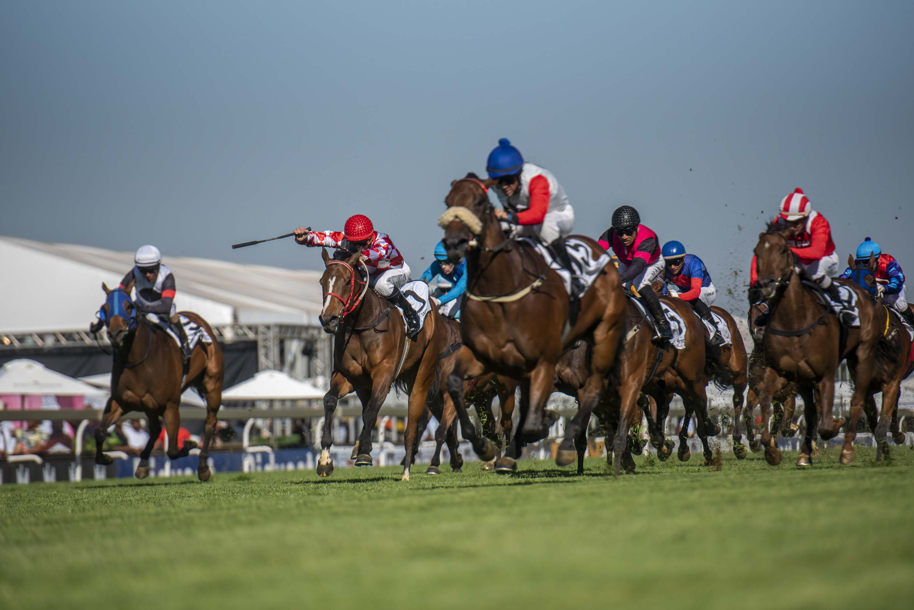 The 38th ARC, Cape Town 2020 | Asian Racing Federation