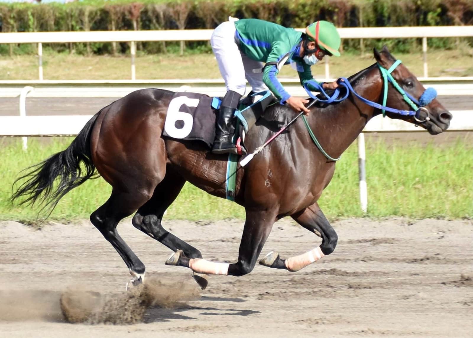 Philippine Racing Commission, Philippines – ARF Member | Asian Racing ...