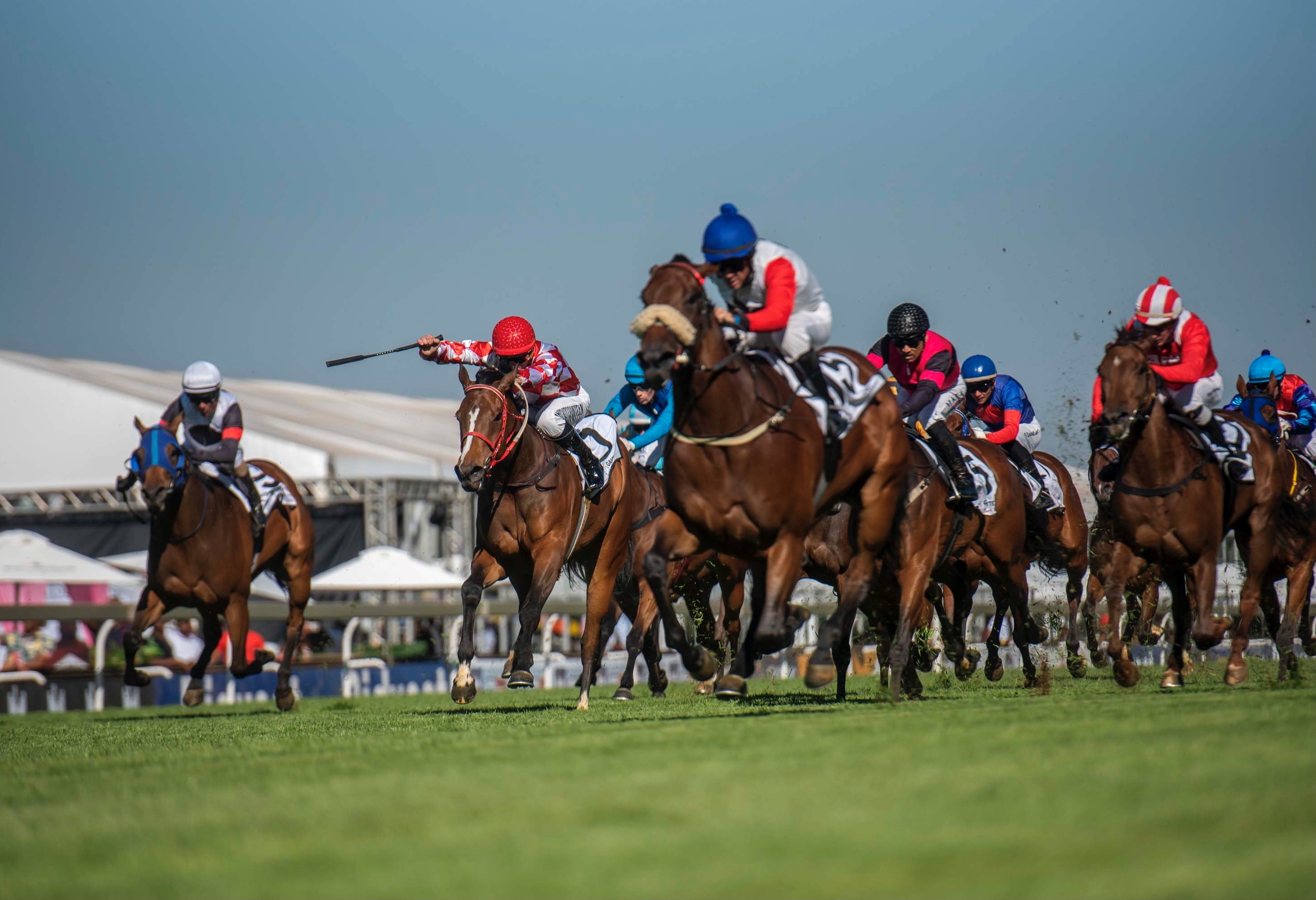 The National Horseracing Authority of Southern Africa, South Africa ...