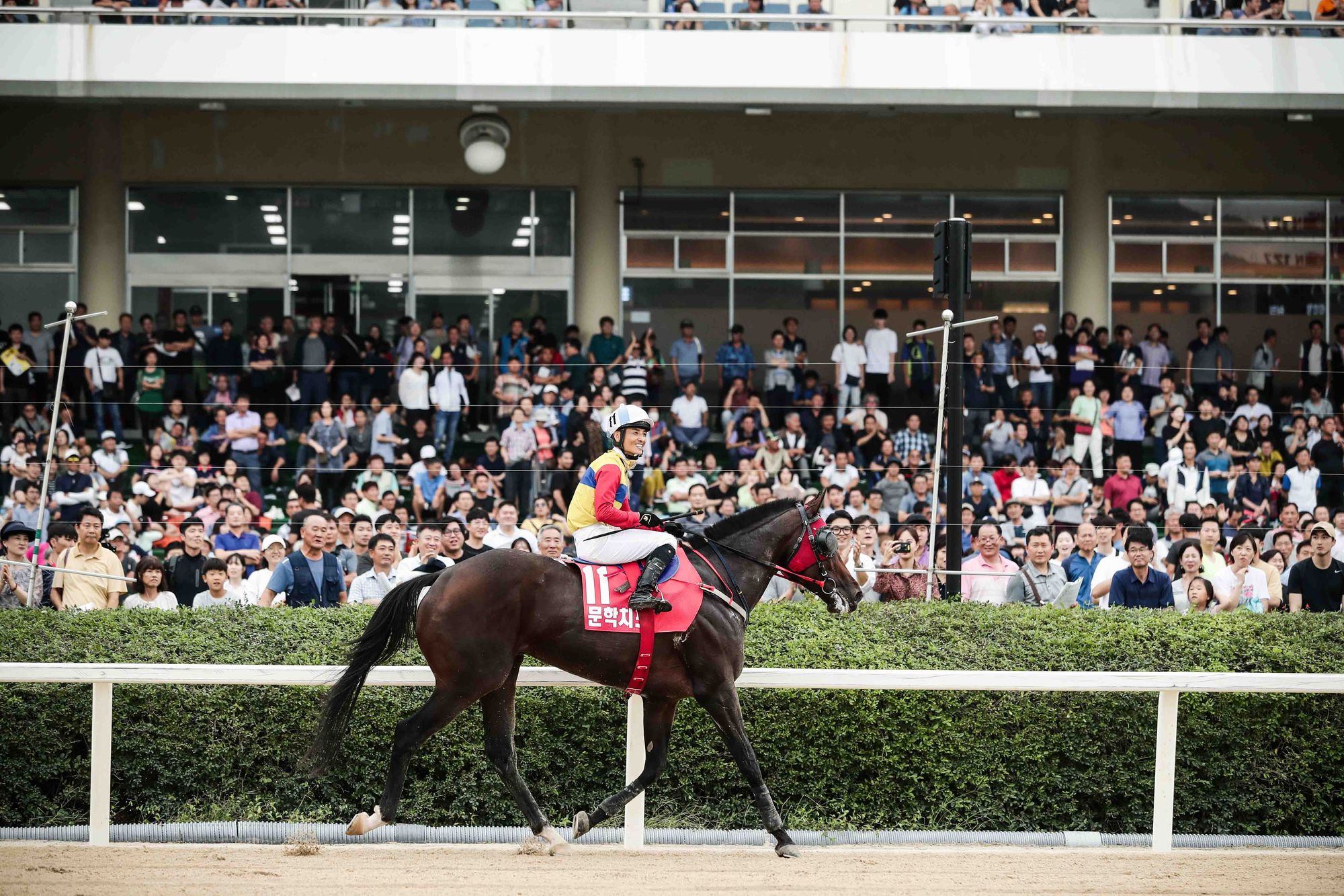 Korea - Korea Racing Authority, Korea Racing Authority | Asian Racing ...