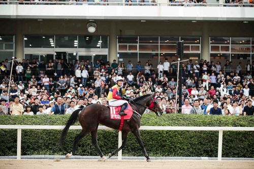 Korea - Korea Racing Authority, Korea Racing Authority | Asian Racing ...