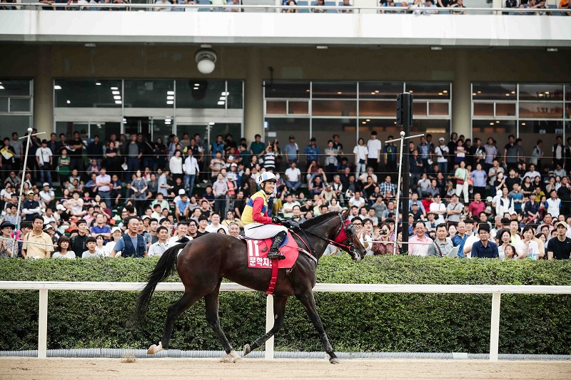 Korea - Facts and Figures in 2022, Korea Racing Authority | Asian ...