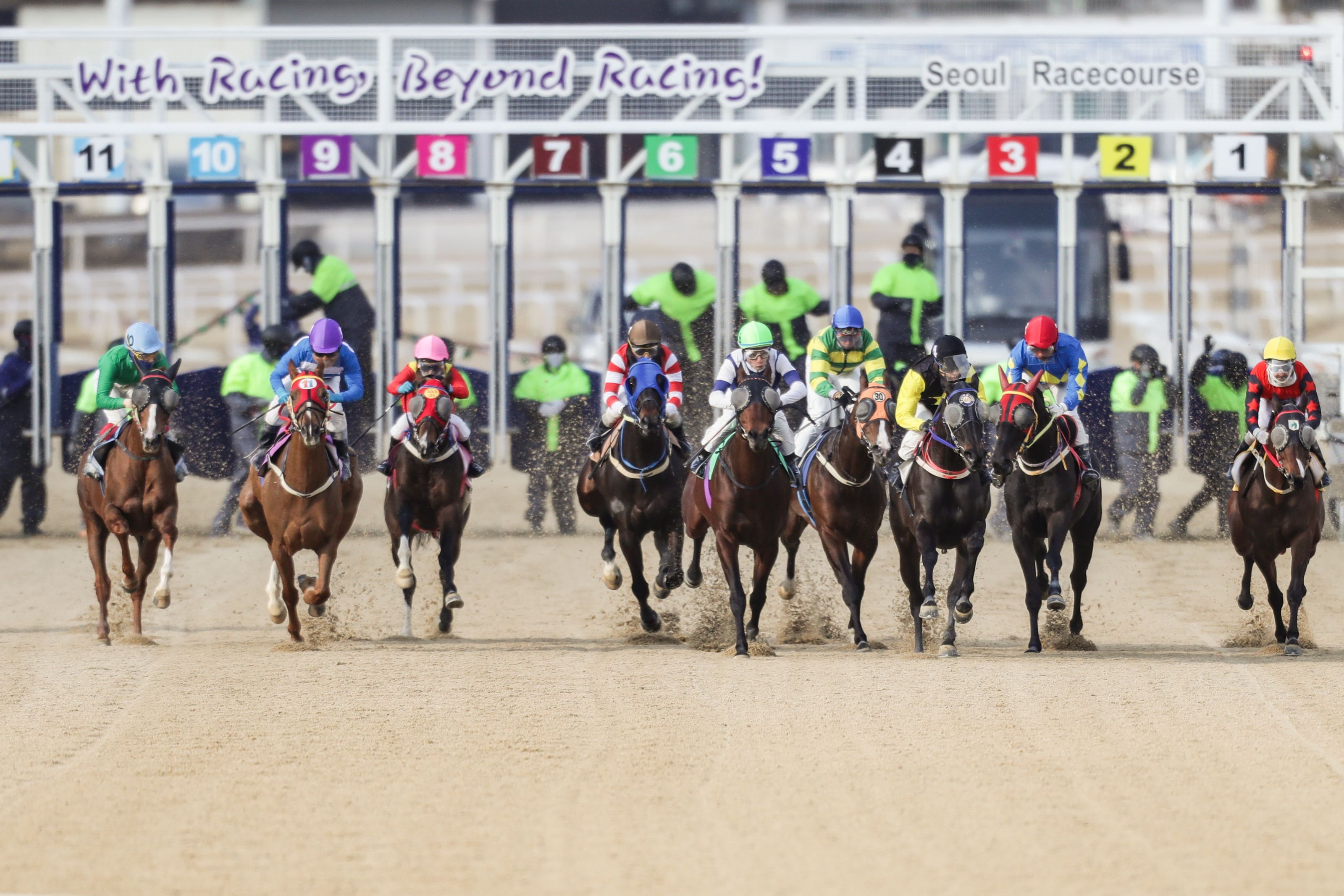 Korea - Korea Racing Authority, Korea Racing Authority | Asian Racing ...