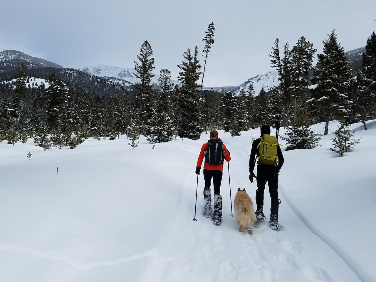 Top 5 Things to Remember when Running on Ice | Alpine Running Guides