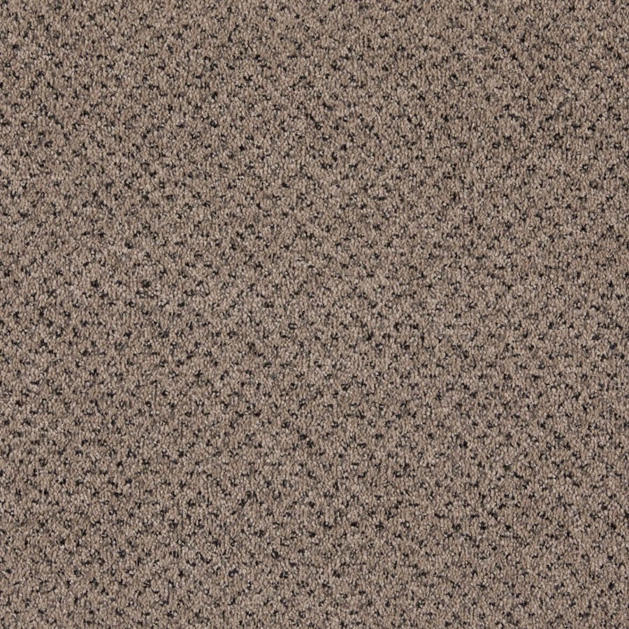 Baltimore Carpet — Broadloom | Belgotex
