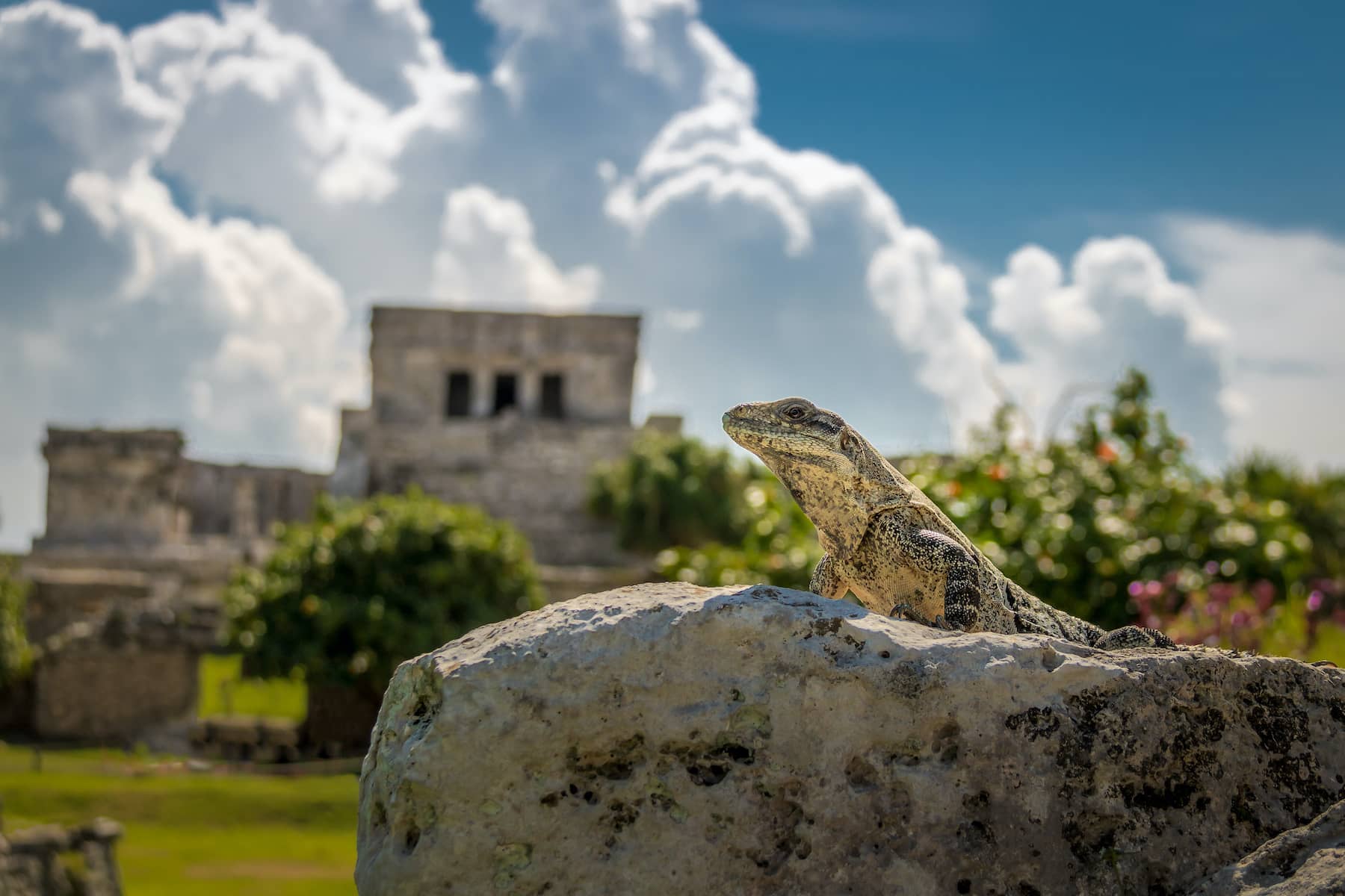 ¿Por qué invertir en Tulum, Quintana Roo?