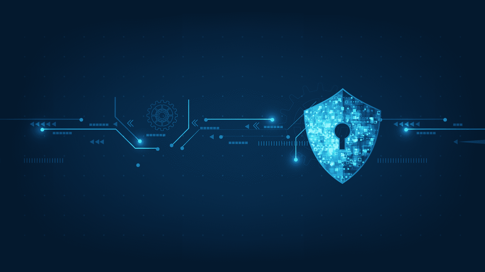 What do Signal Messenger and the Signal Ocean platform have in common?