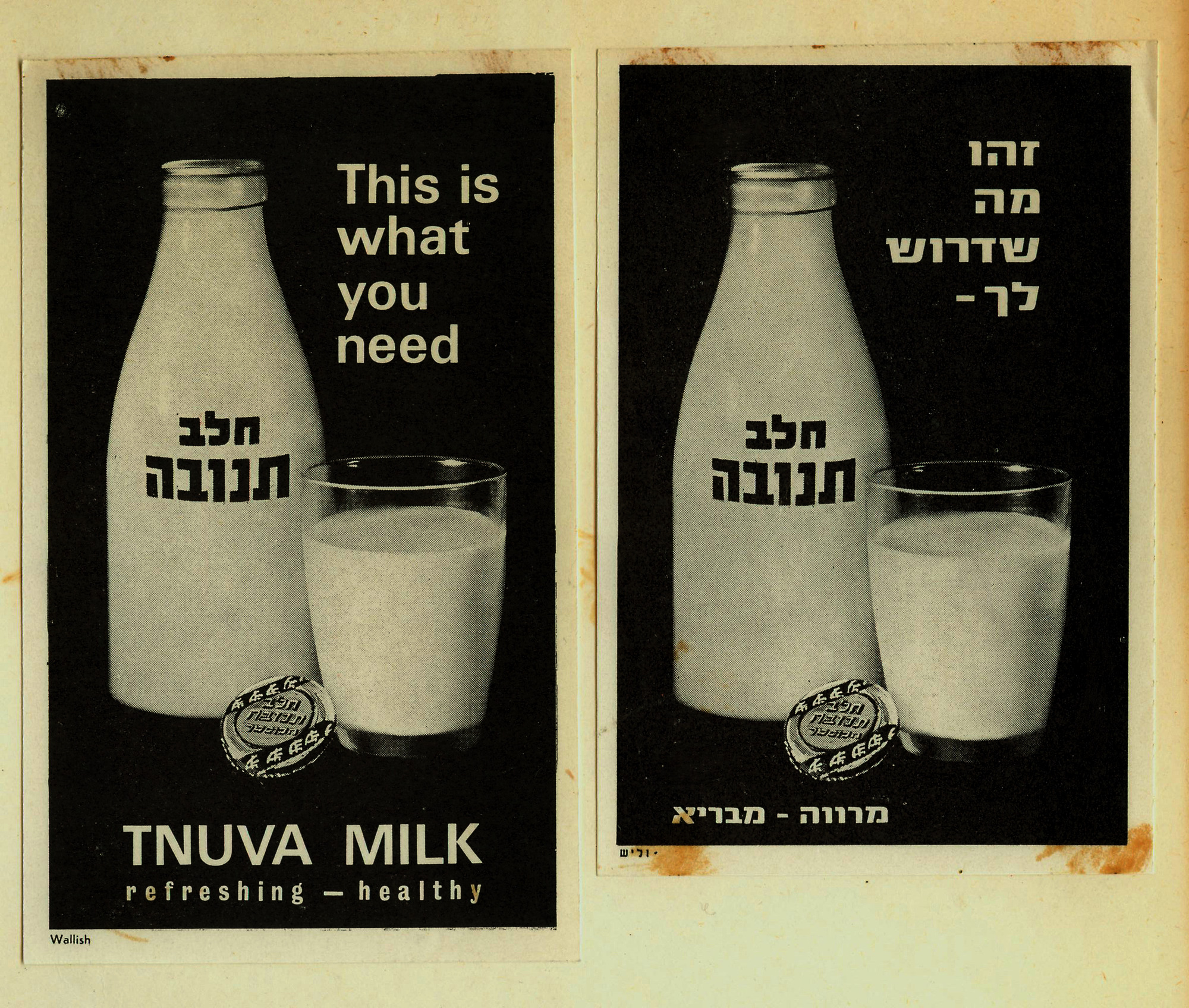 Land of Milk and Honey | The National Library of Israel for Educators