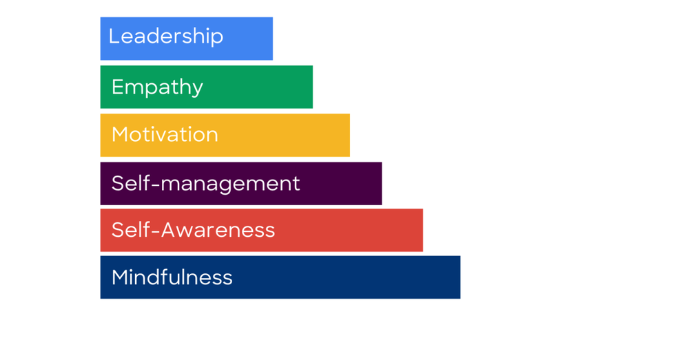 Search Inside Yourself: How to Develop Emotionally Intelligent Leaders