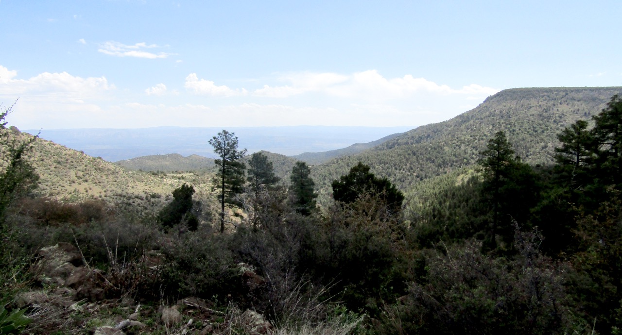 Woodchute Wilderness | 5enses Magazine