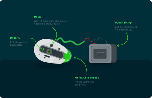 What is Programmatic Advertising? | CAASie.co Blog