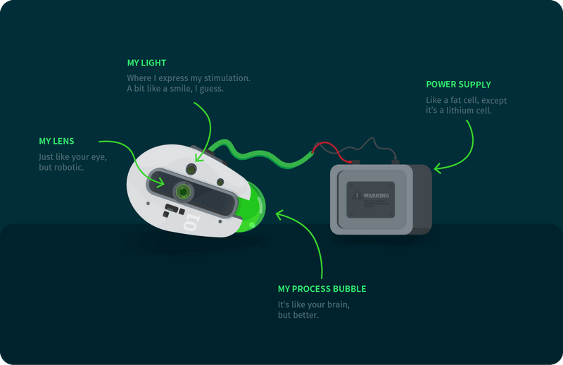 What is Programmatic Advertising? | CAASie.co Blog