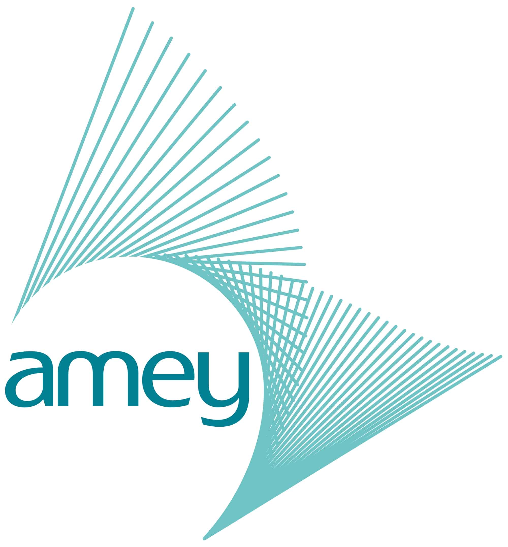 Best Companies | Amey Company Profile