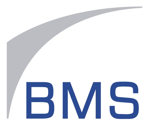 Best Companies | BMS Group Company Profile