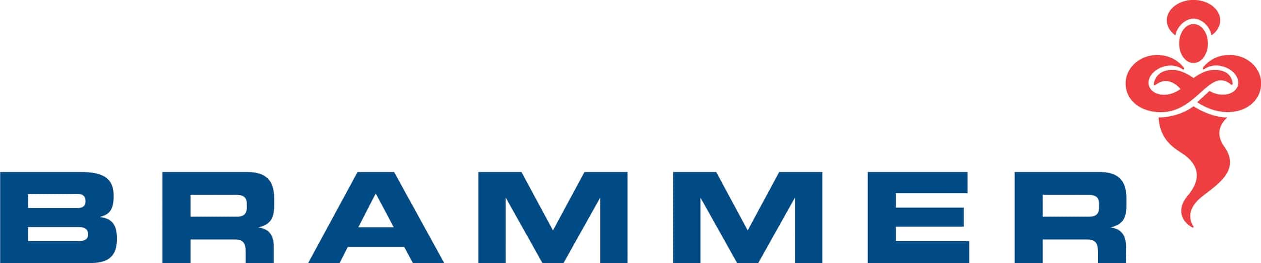 Best Companies | Brammer Plc Company Profile