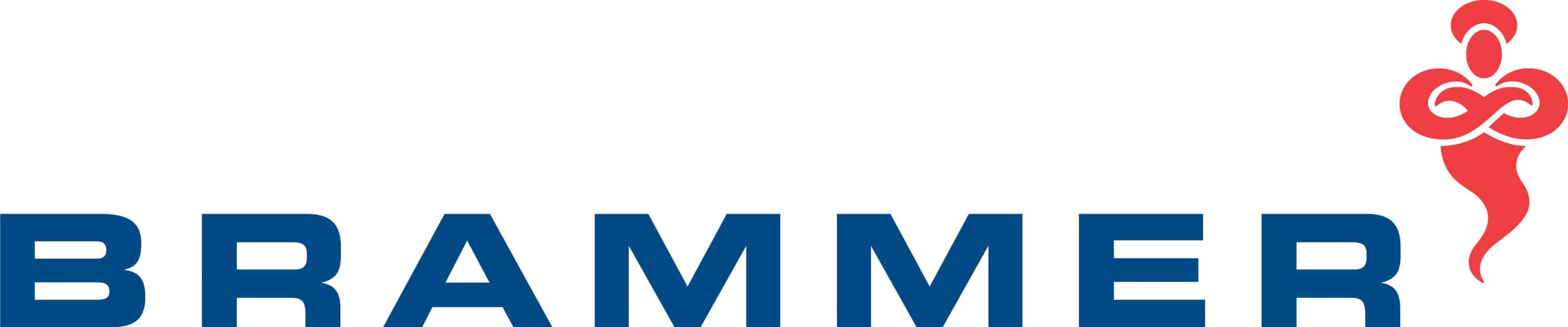 Best Companies | Brammer Plc Company Profile