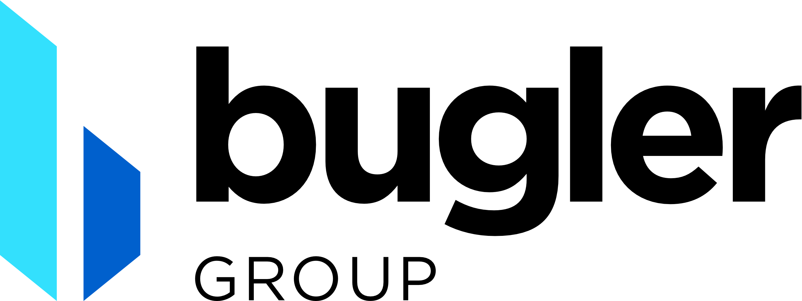 Best Companies | Bugler Group Company Profile
