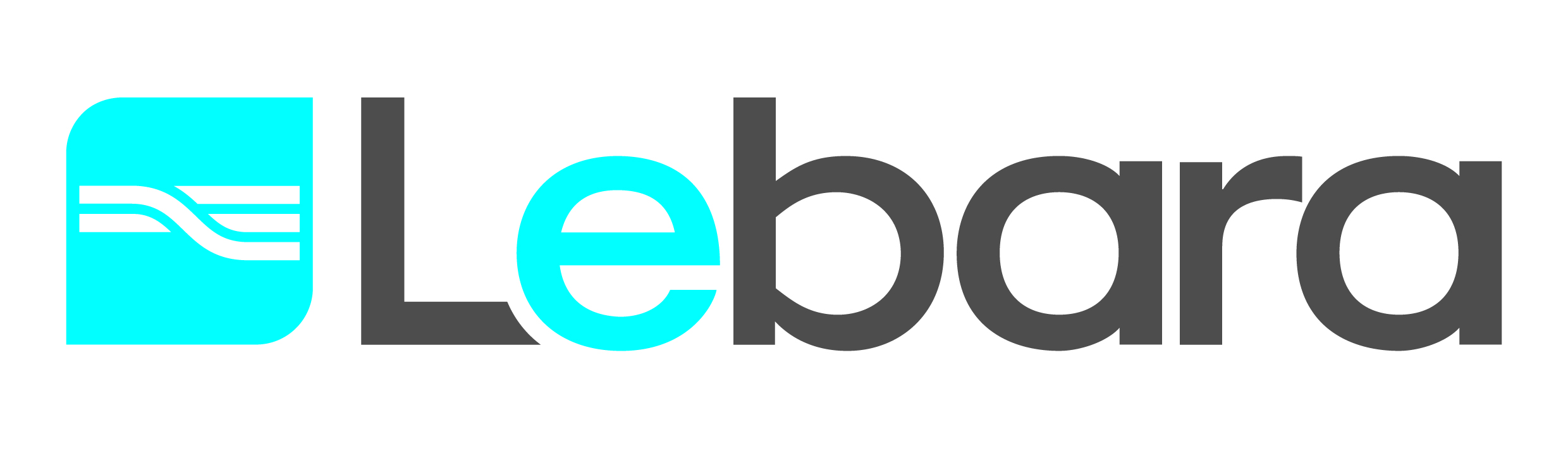 Best Companies | Lebara Ltd Company Profile