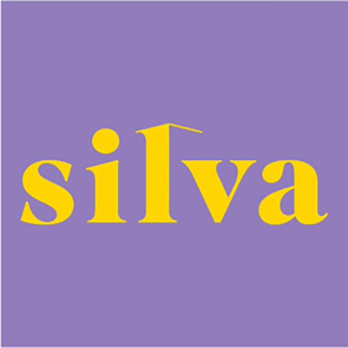 Best Companies | Silva Homes Company Profile